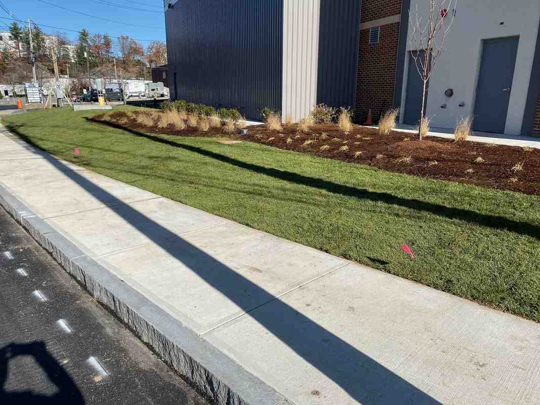 Commercial Property Landscaping: 10 Best Ideas in 2024